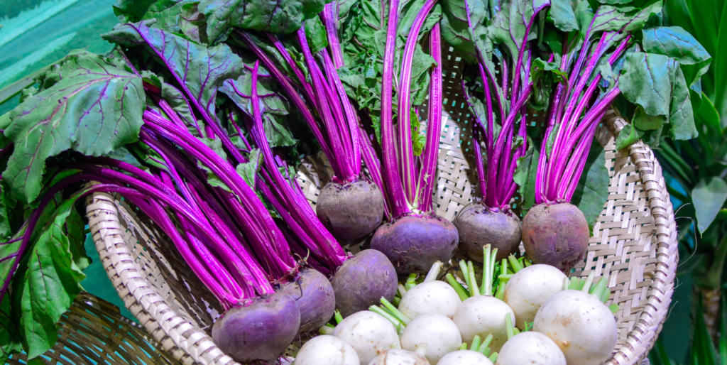 Beguiling Beetroot | Dr. Russell Jaffe