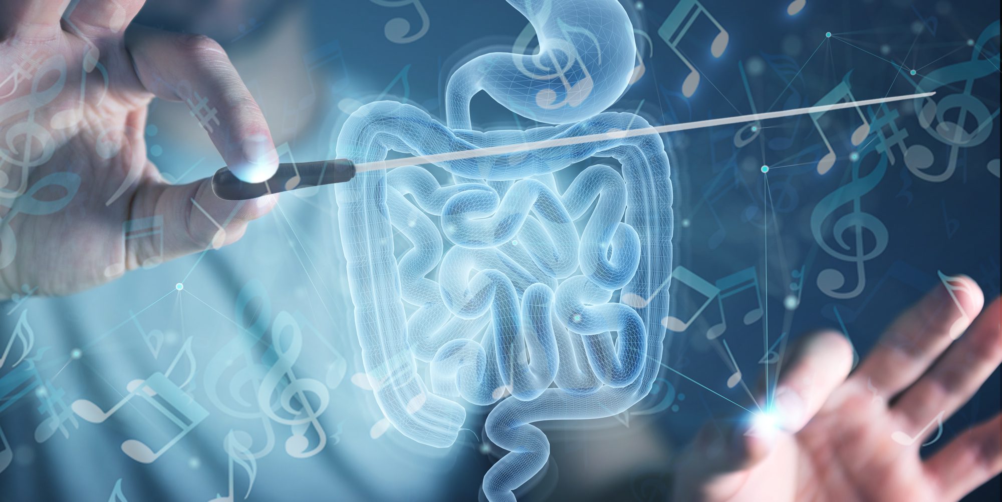 The Digestive Health Symphony | Dr. Russell Jaffe