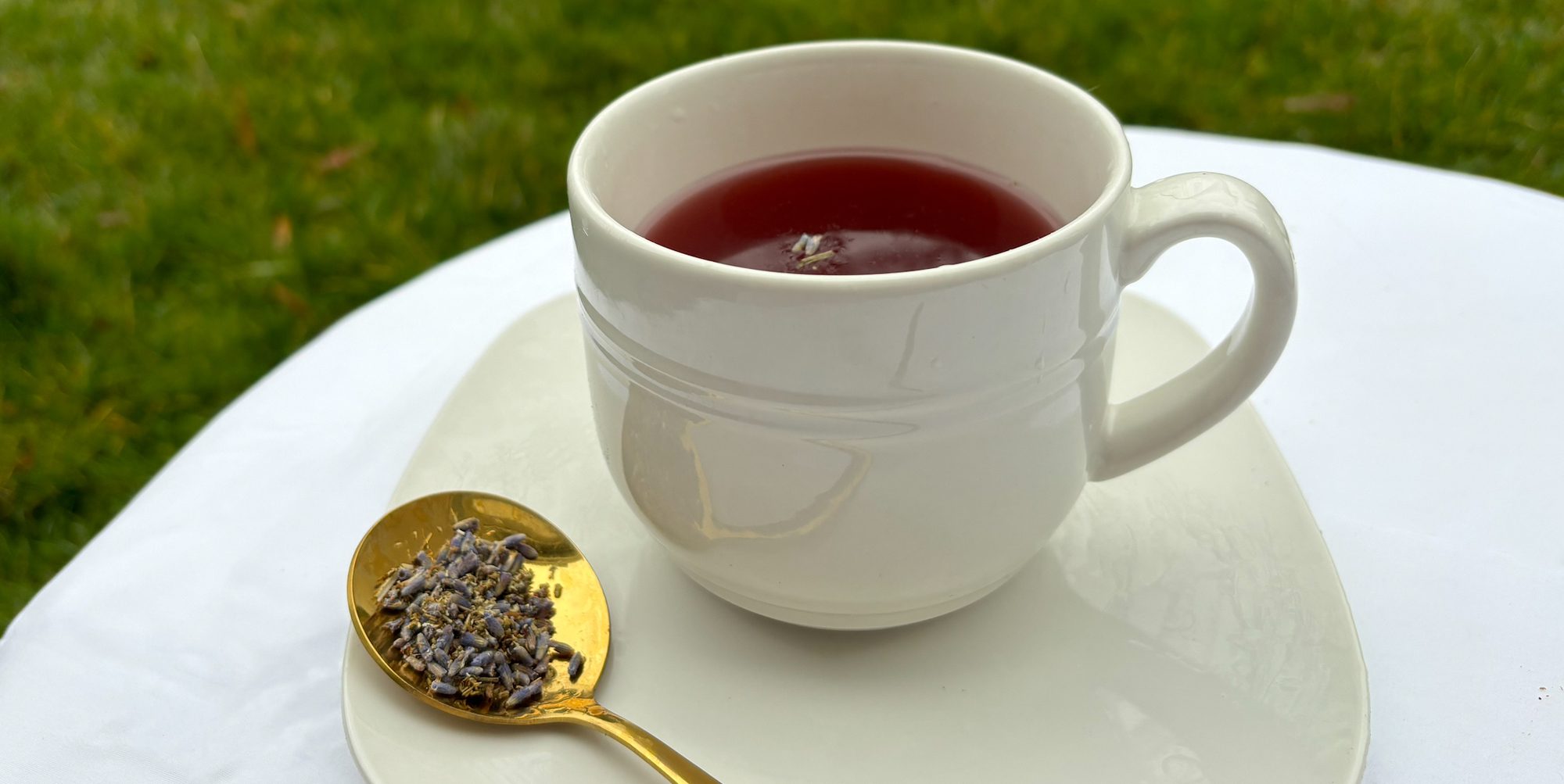 Lavender Tart Cherry Sleepy Tea | Dr. Russell Jaffe